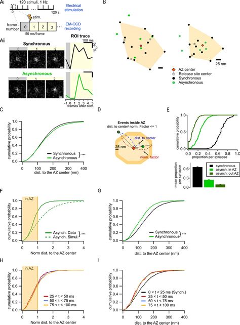 Figures And Data In Two Forms Of Asynchronous Release With Distinctive