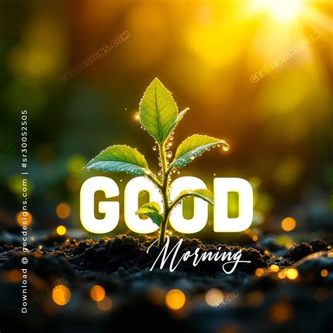 Good Morning Wishes Wallpapers Wallpaper Cave