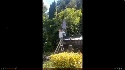 How Not To Remove A Hornets Nest Rfacepalm
