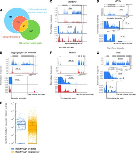 Ribosome Profiling Reveals Pervasive And Regulated Stop Codon