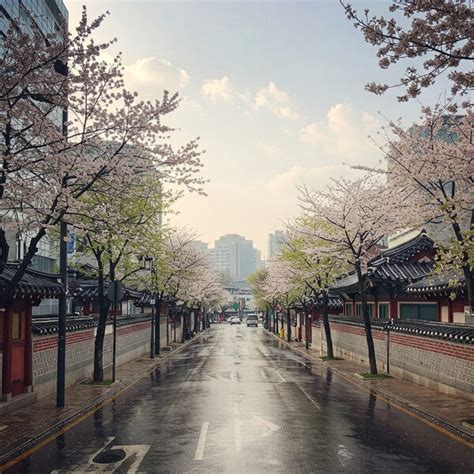 내일21일 대전·세종·충남 날씨 예보 낮 더위 속 곳곳 소나기천둥·번개 주의