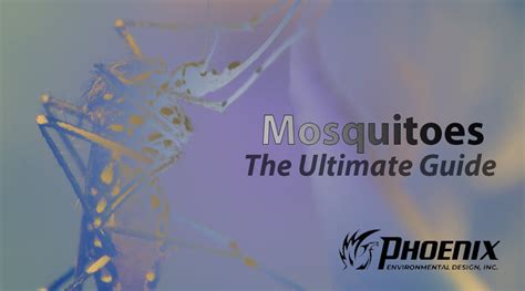 The Difference Between Glufosinate And Glyphosate Phoenix
