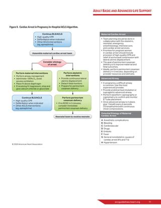 AHA ACLS BLS CPR Guideline PDF First Aid Injuries