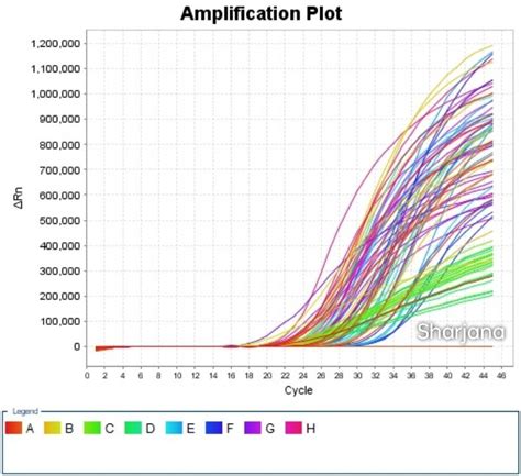 Sharjana Akter On Linkedin 🧬 This Is The Amplification Plot Of Rt Pcr