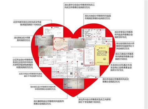 有钱出钱有力出力 湖北省注册会计师行业抗疫不遗余力 腾讯新闻