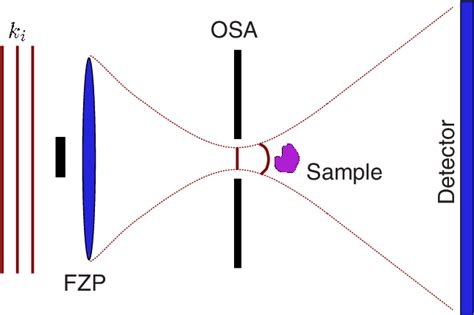 Figure 1 From Fresnel Coherent Diffractive Imaging Semantic Scholar