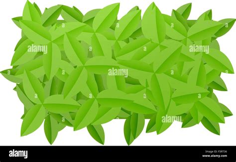 Grass Minus Stock Vector Images Alamy