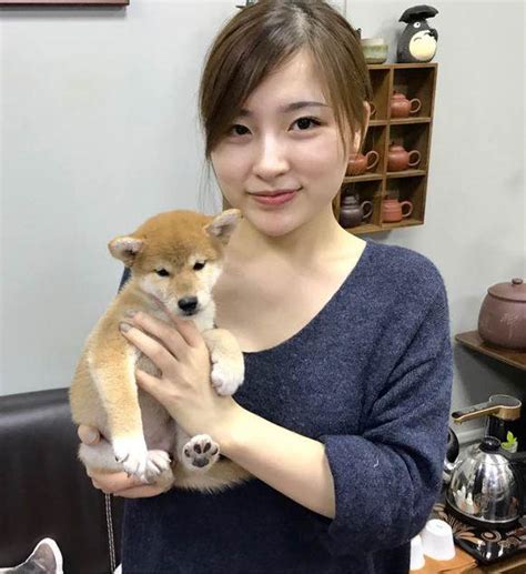 狗狗好不好看全在主人的顏值，這隻柴犬滿分！ 每日頭條