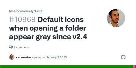 Default Icons When Opening A Folder Appear Gray Since V24 · Issue