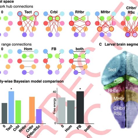 Karl Friston University College London London Ucl Institute Of Neurology Research Profile