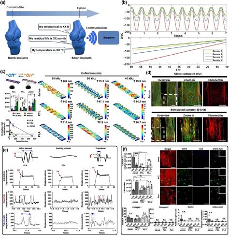 科学网—极端制造 3d 4d打印生物压电智能支架用于下一代骨组织工程 Sciopen Tup的博文