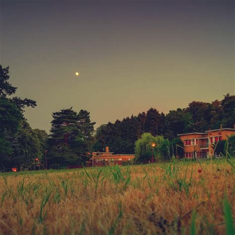 François Mathy Youtube