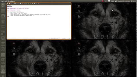 Manipulacion Mysql Con Script Bash Shell Script Linux Youtube