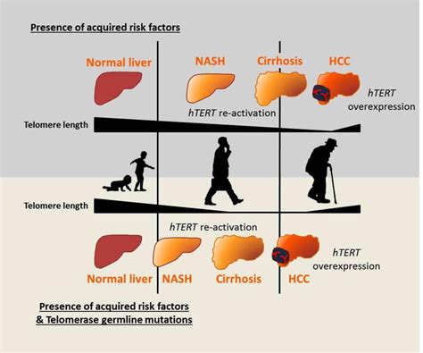 Figure 2 From Identification Of Rare And Common Genetic Variants