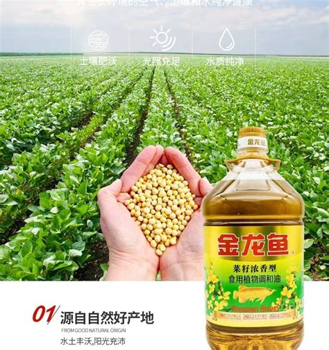 金龙鱼菜籽油浓香型植物调和油5L 桶 4桶 箱 融创集采商城