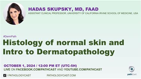 Dermpath Histology Of Normal Skin And Intro To Dermatopathology Youtube