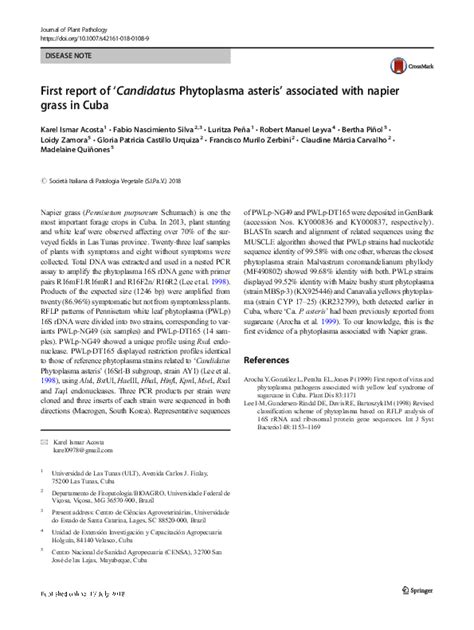 Pdf First Report Of ‘candidatus Phytoplasma Asteris Infecting