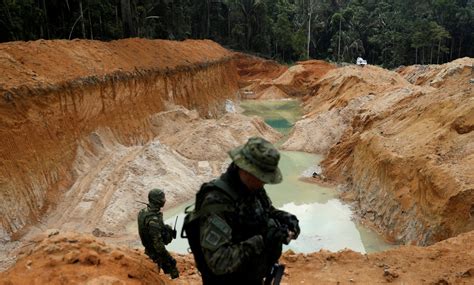 La Selva Amazónica Asediada Por La Minería Ilegal Infobae