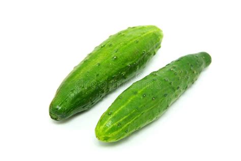 Cucumber Stock Image Image Of Freshness Object Organic 8503827