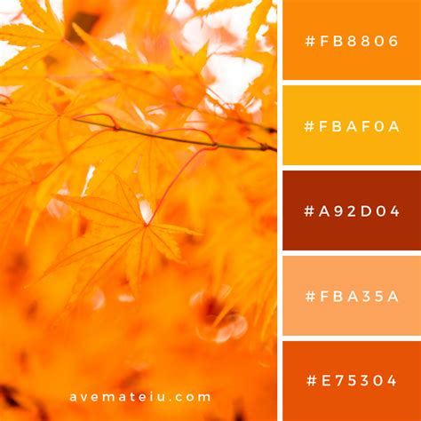 Maple Leaf Color Palette 301