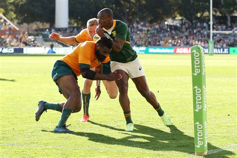 Rugby Championship 2022 Australia Vs South Africa Wallabies Hail