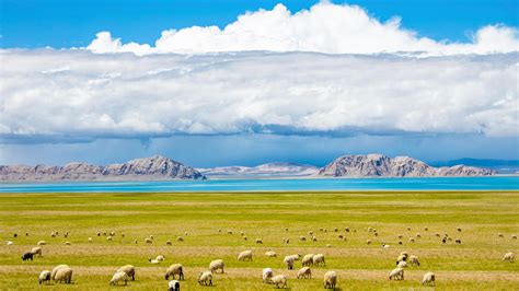 国庆旅游西藏色林措风景图片壁纸 色林措风景图片标志 三千图片网