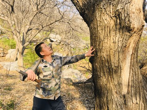 筑牢森林防火墙，守护齐鲁4200余万亩林草安全队伍灭火山东