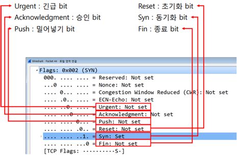 연결지향형 Tcp 프로토콜