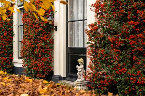 Garden Wall Ideas Best Designs For Garden Walls Pics
