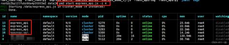 Nodejs Pm2管理js并发自动重启恢复等pm2 Nodejs Csdn博客