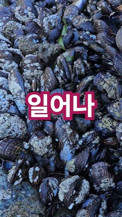아직도 자는거야 왜 안 움직여 아이유 Iu Youtube