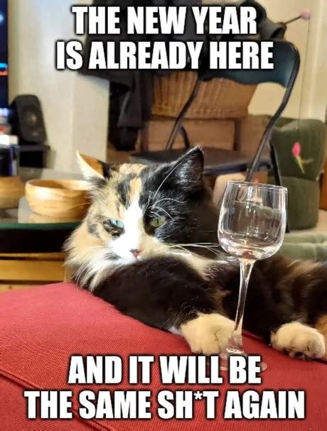 Latest Memes New Memes Memedroid