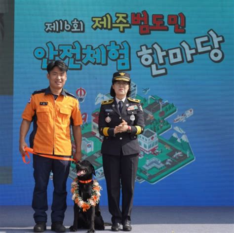 150차례 구조활동·인명구조9살 초롱이 은퇴합니다~ 파이낸셜뉴스