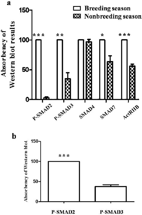 The Relative Absorbency Of Actriib And Smads In Western Blotting A Download Scientific