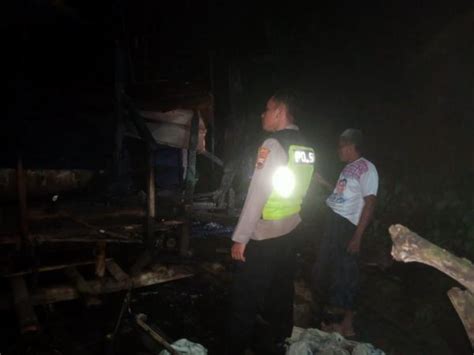 Waduh Kandang Terbakar Ekor Kambing Mati Terpanggang Di Grobogan