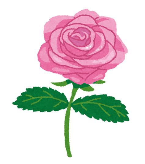 √画像をダウンロード ピンク 薔薇 写真 フリー