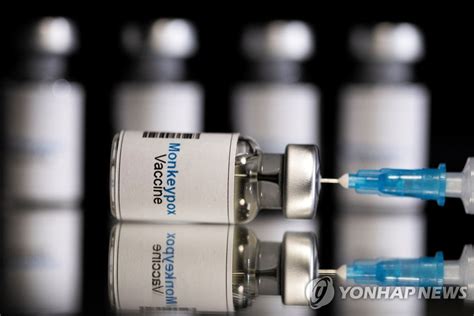 방역당국 원숭이두창 대비 3세대 두창 백신 국내도입 협의중종합