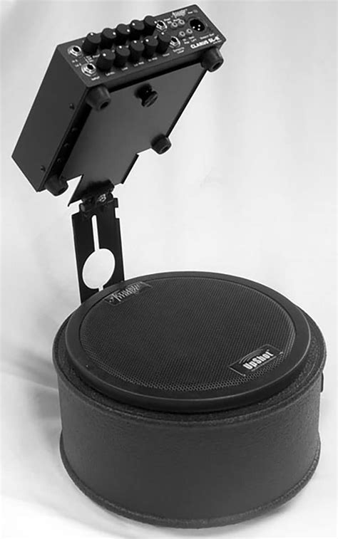Acoustic Image Upshot Combo W Clarus Head Upton Bass String