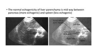 Ultrasound Normal Anatomy Of Major Organs Pptx