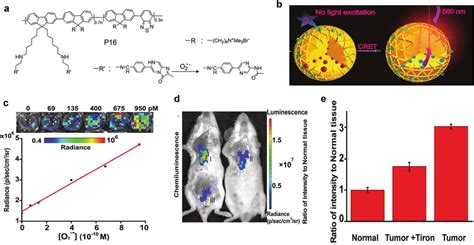 Spn Based Activatable Probes For Chemiluminescence Imaging Of
