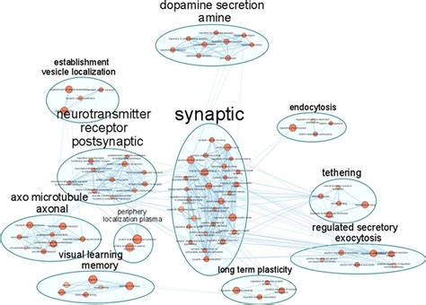 Region Of The Network Representing Enriched Pathways Grouped By Download Scientific Diagram