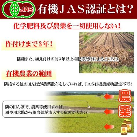 新米 お米 無農薬玄米 10kg 送料無料 Jas有機認証 山形県産 無農薬つや姫 産年：令和5年 生産者：小林亮 ※精米選択可 ※精米選択可