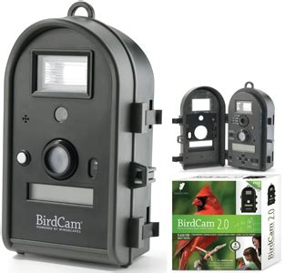 Wingscapes Audubon Birdcam Review And The Birdcam 2 0 Review
