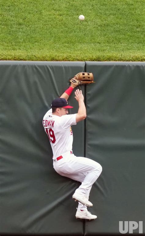 Photo St Louis Cardinals Center Fielder Tommy Edman Jumps For