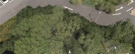Vegetation Polygons Unpopulated In 2024 And Trees Are Not Fixed