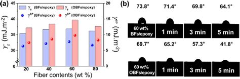 Interfacial Interaction Of Bfs Epoxy And Obfs Epoxy Composites A