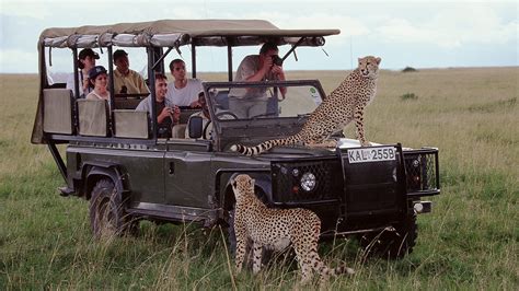 Сафари экзотический отдых на африканском континенте Africa Travel