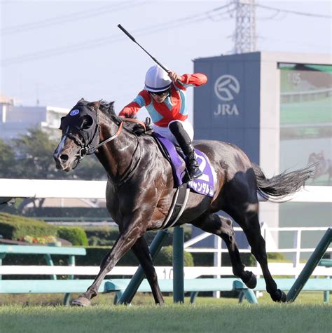 スプリンターズsでg1初制覇のジャンダルムが引退 アロースタッドで種牡馬入り 母は名牝ビリーヴ Umatoku 馬トク