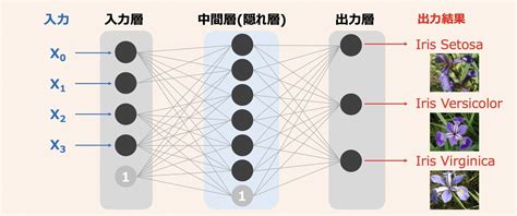 【深層学習×python】pytorchで始めるディープラーニング実践入門｜プログラムの書き方・テンプレートの解説 Dxcel Wave