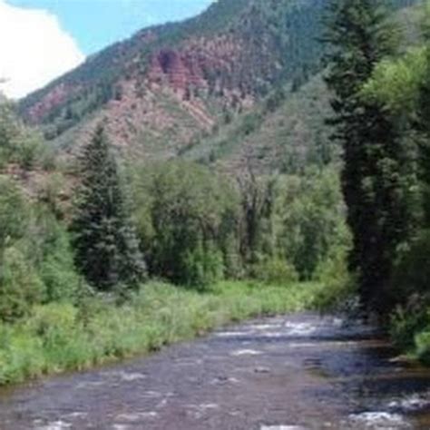 Sheri Schultz Youtube